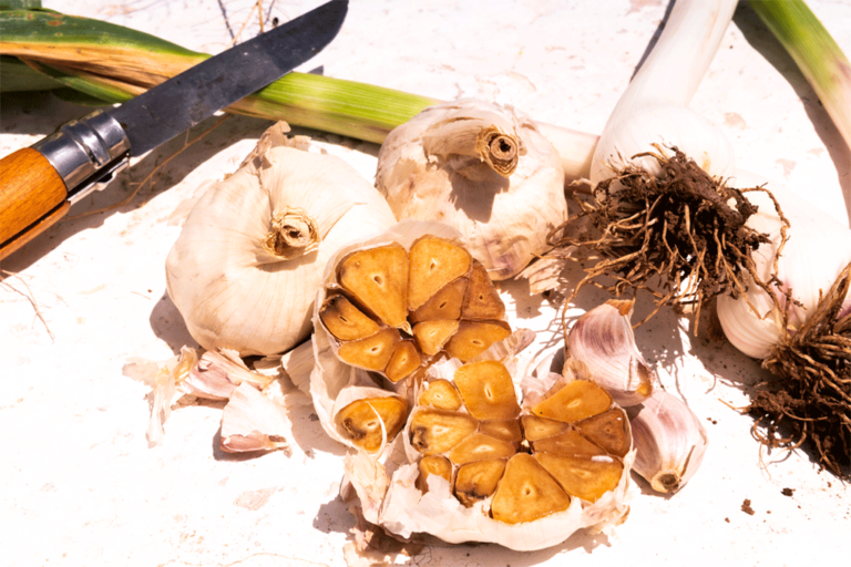 ABG10+® May Improve Blood Pressure Levels | Pharmactive Biotech Products